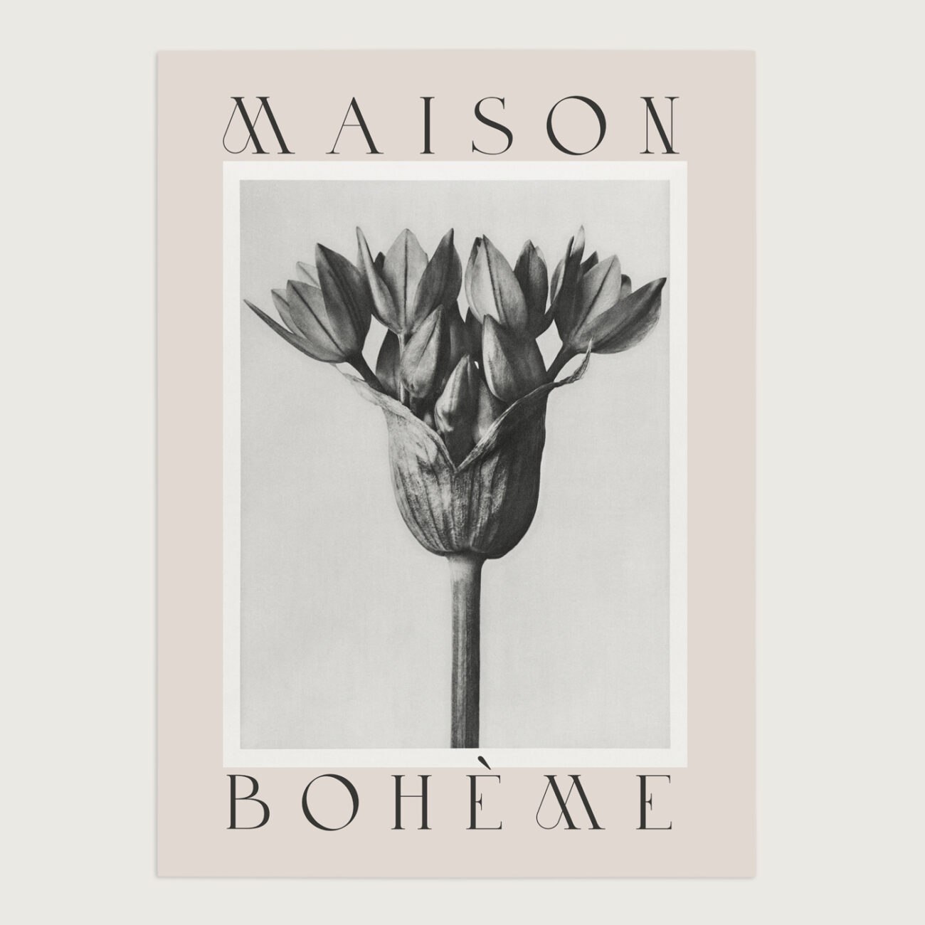 Atelier Bohème Poster - thepostertribe.com